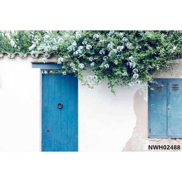 Rural Village Old House Porch Potted Plants Flowers Shop Children Baby ...