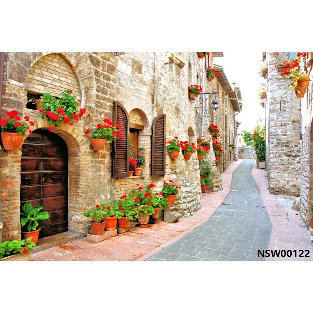 Rural Village Old House Porch Potted Plants Flowers Shop Children Baby ...