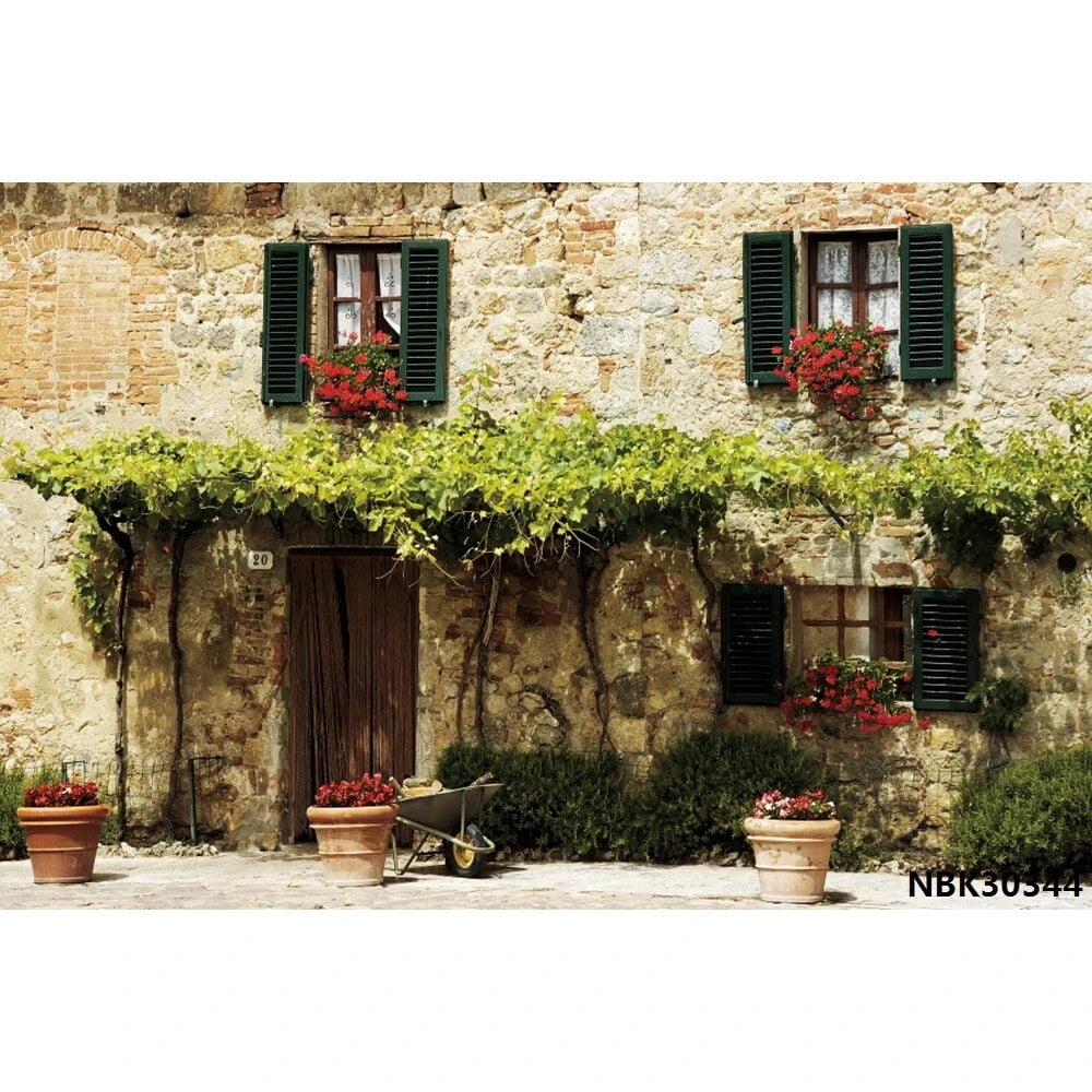 Rural Village Old House Porch Potted Plants Flowers Shop Children Baby ...