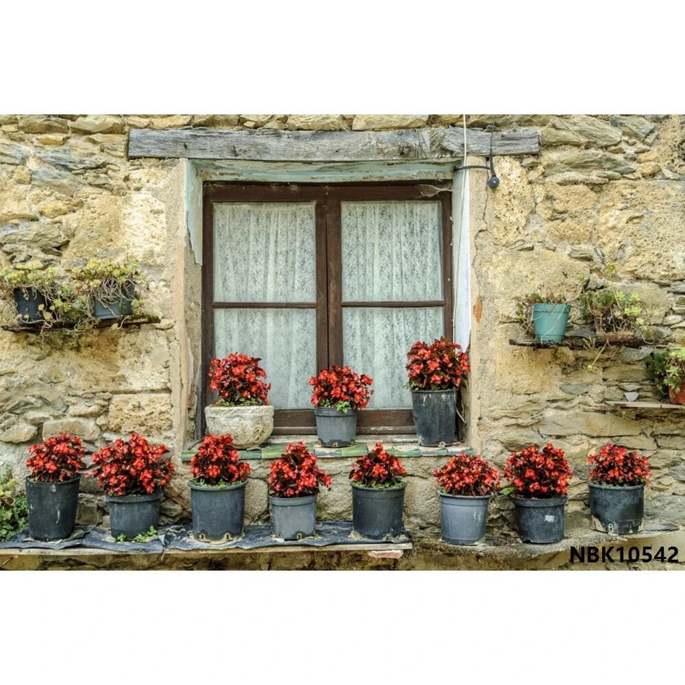 Rural Village Old House Porch Potted Plants Flowers Shop Children Baby ...