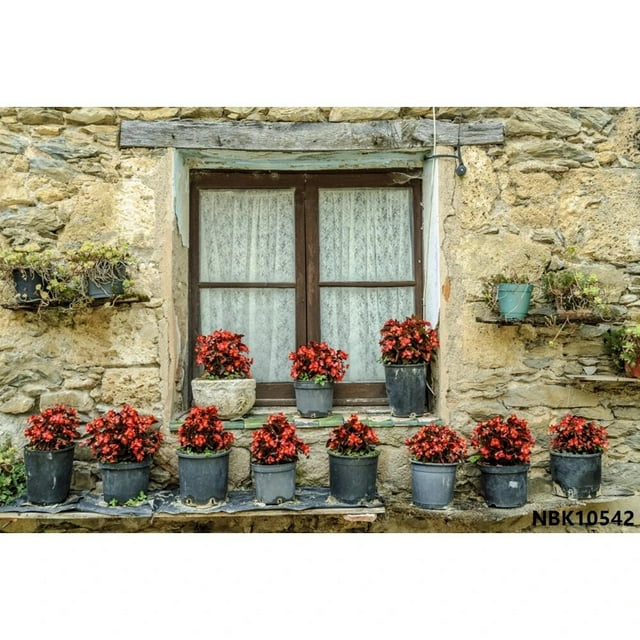 Rural Village Old House Porch Potted Plants Flowers Shop Children Baby ...