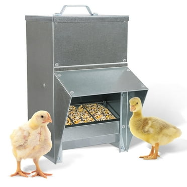 Galvanized Chicken Feeder with 11.5lb Capacity - Rat Proof Poultry ...