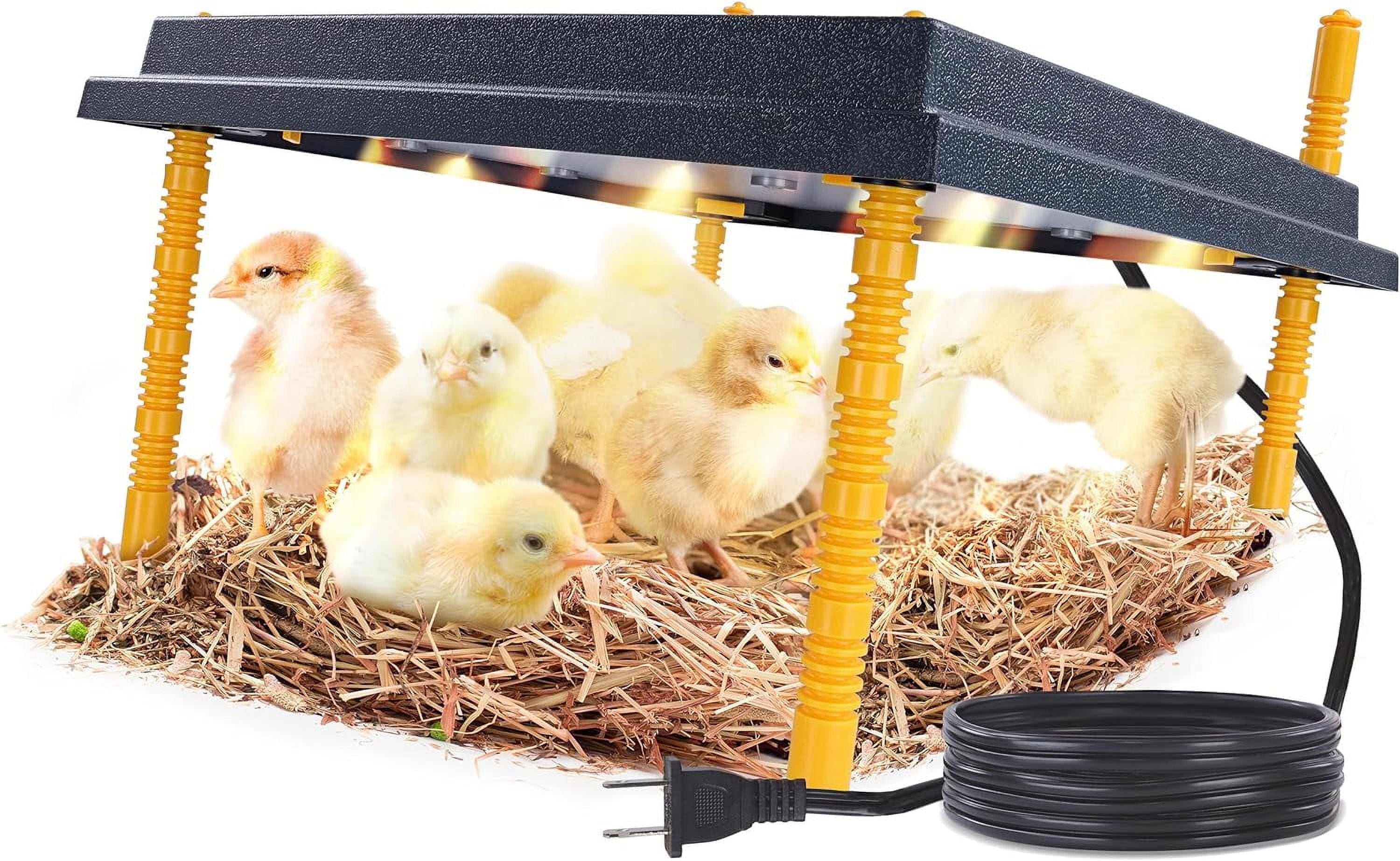 Rural365 Chick Heating Brooder - 16x24in Brooder Heat Plate for Chicks ...