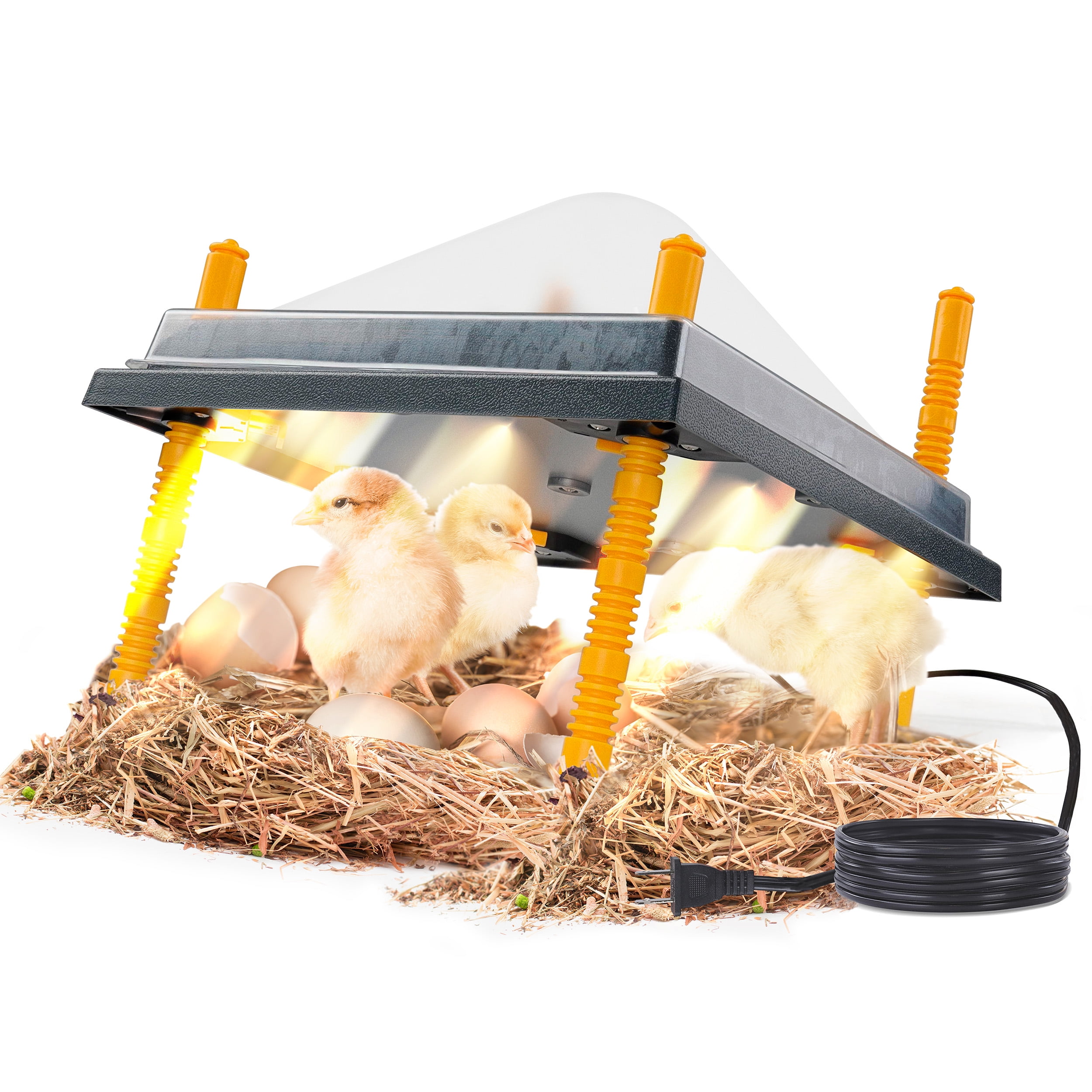 Rural365 Chick Heating Plate - 12 Inch Adjustable Brooder Heat Plate ...