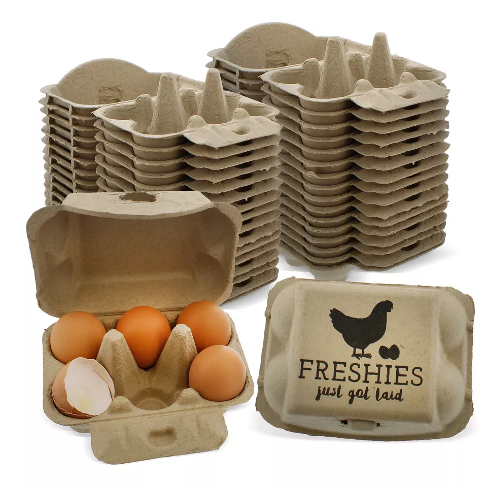 Rural365 Empty Egg Cartons New Chicken Quail Egg Carton 6 Cell Farm ...