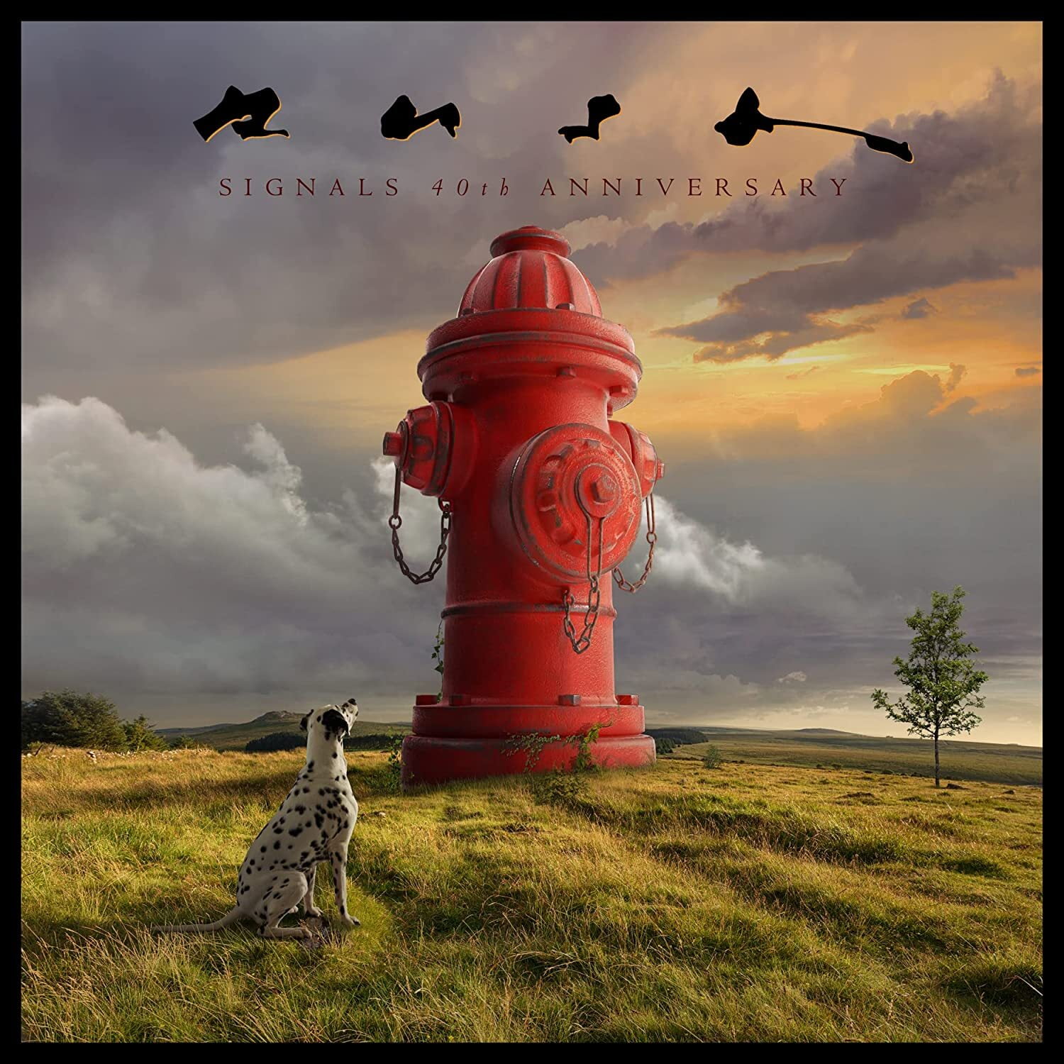 Rush - Signals (40th Anniversary) - Music & Performance - Vinyl ...