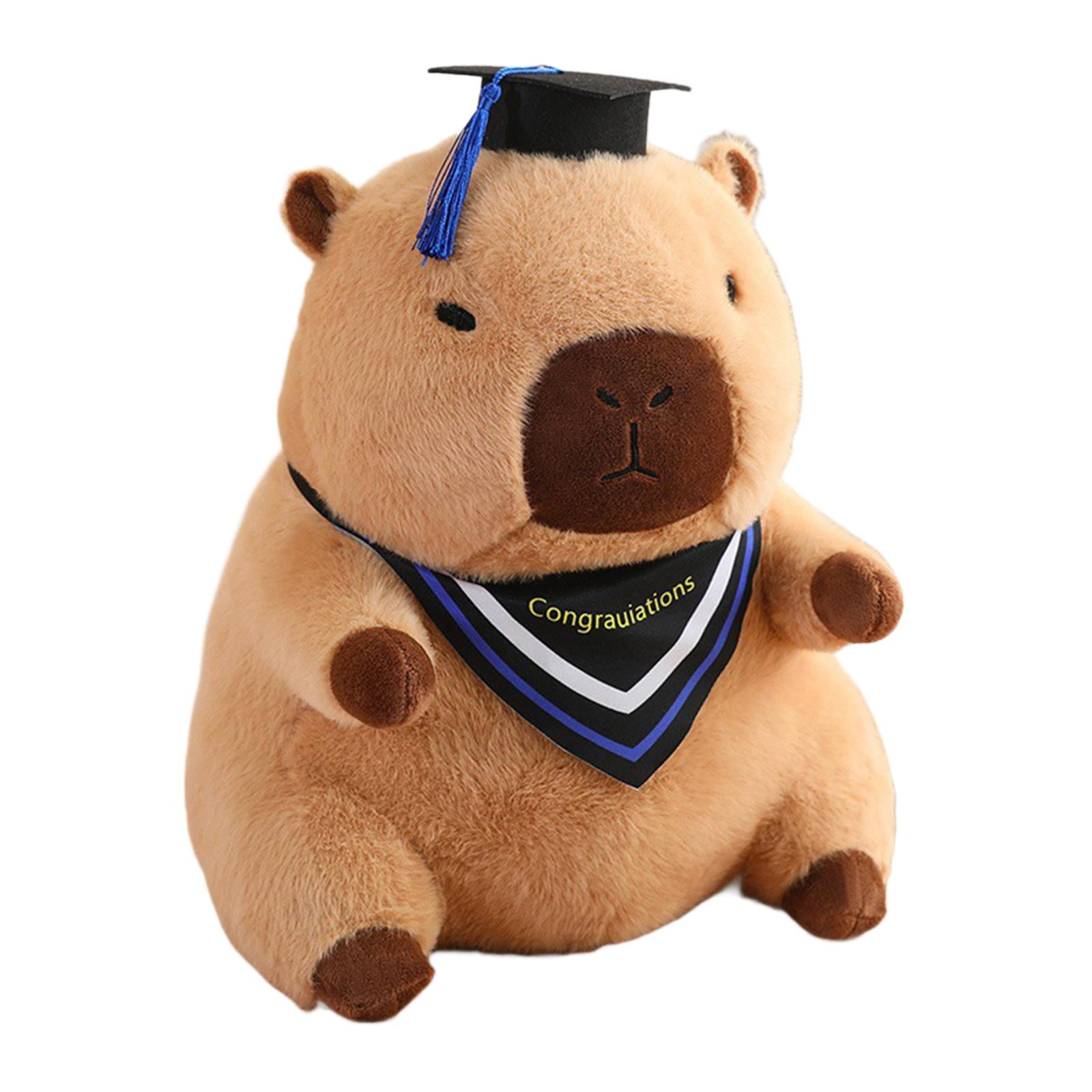 Rushawy Graduation Capybara Plush Toy with Bachelor Cap, Home ...
