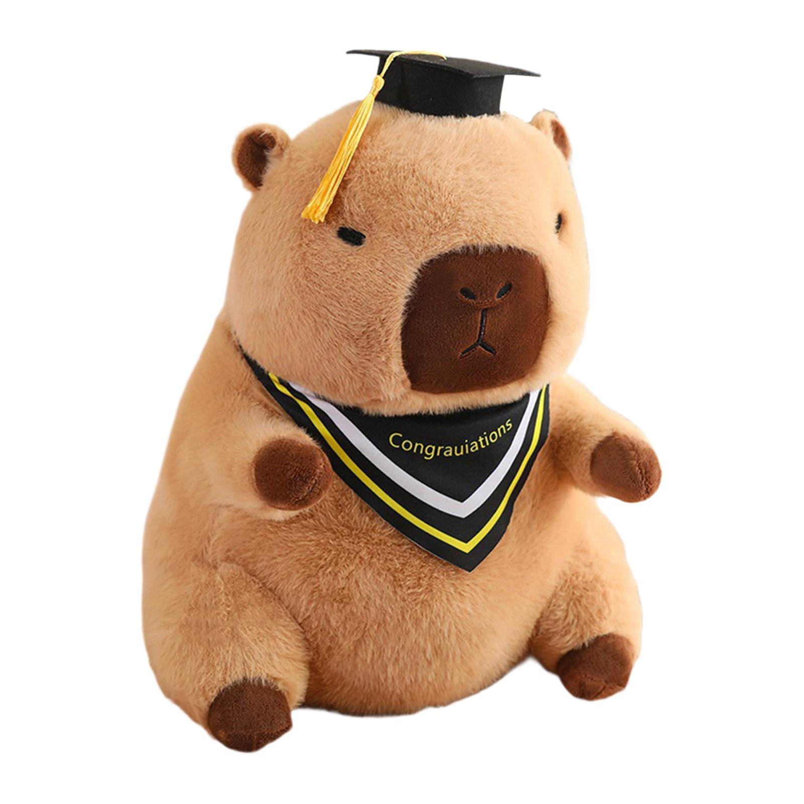 Rushawy Graduation Capybara Plush Toy with Bachelor Cap, Home ...