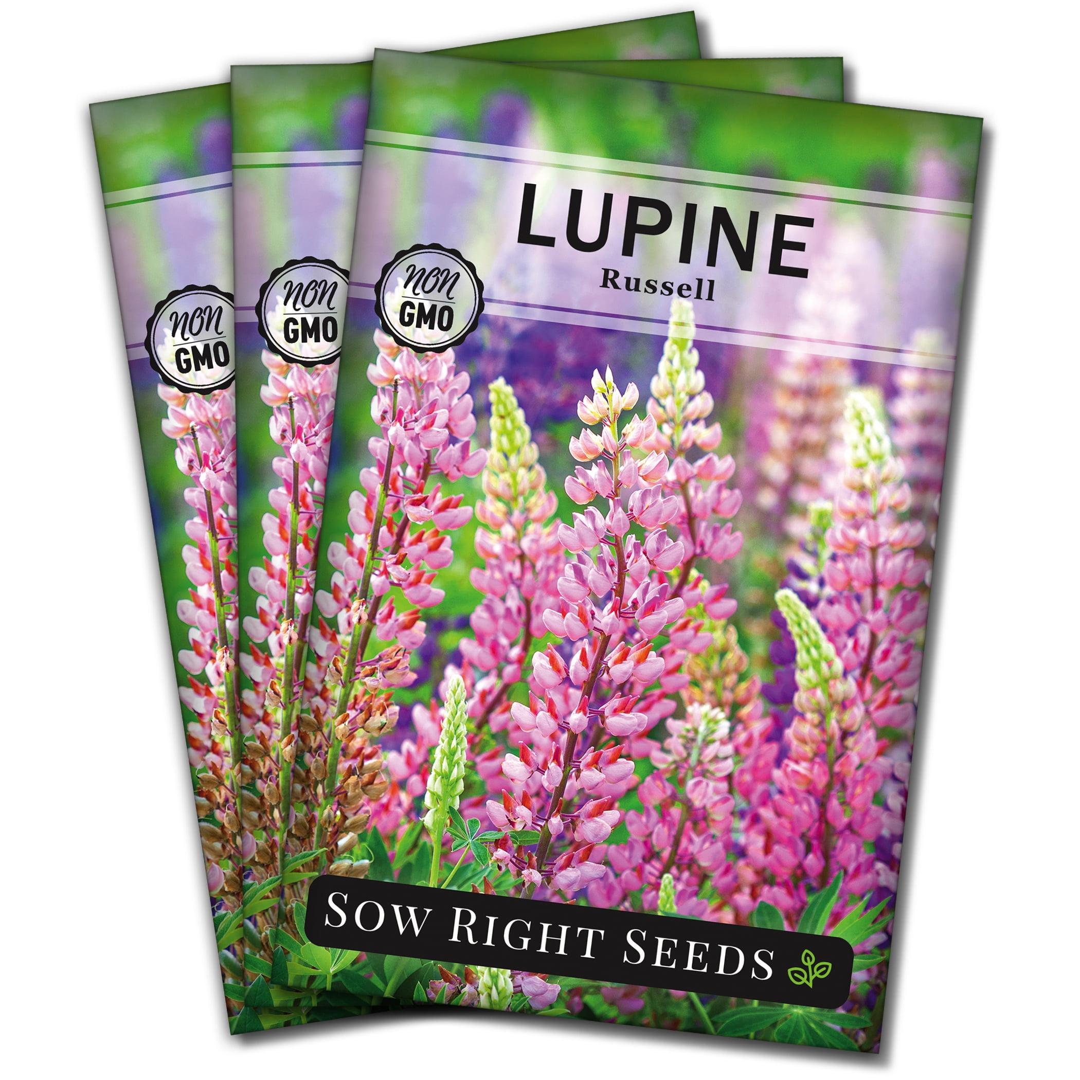 Russell Lupine Seeds - Non GMO Heirloom Varieties for your Flower ...