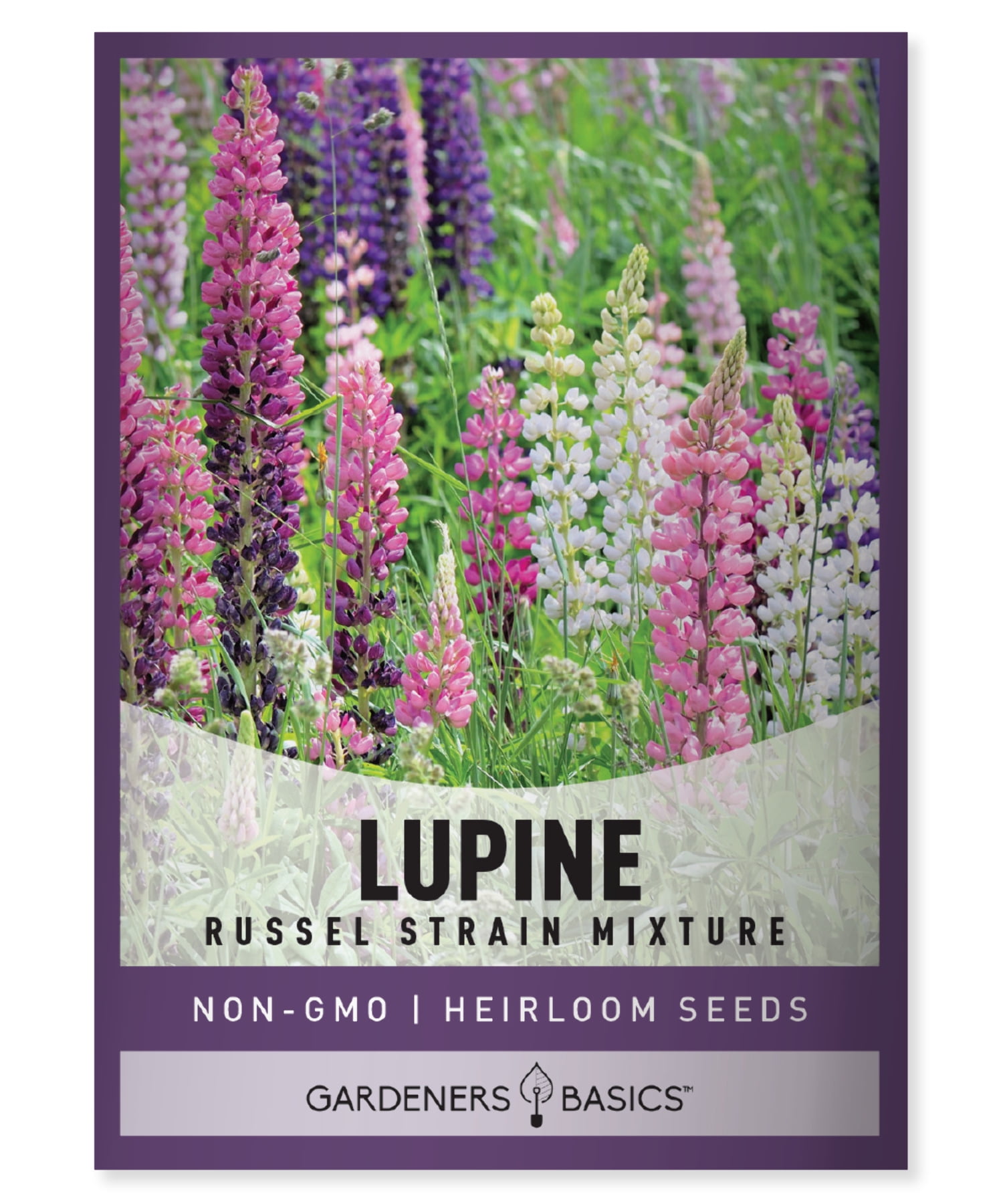 Russell Lupine Seeds - Walmart.com