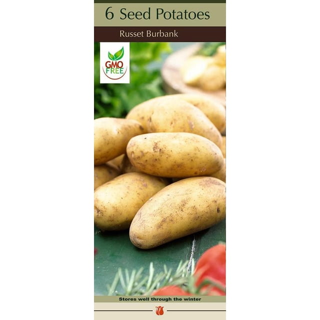Russset Burbank Potato - 6 Tubers - Walmart Business Supplies