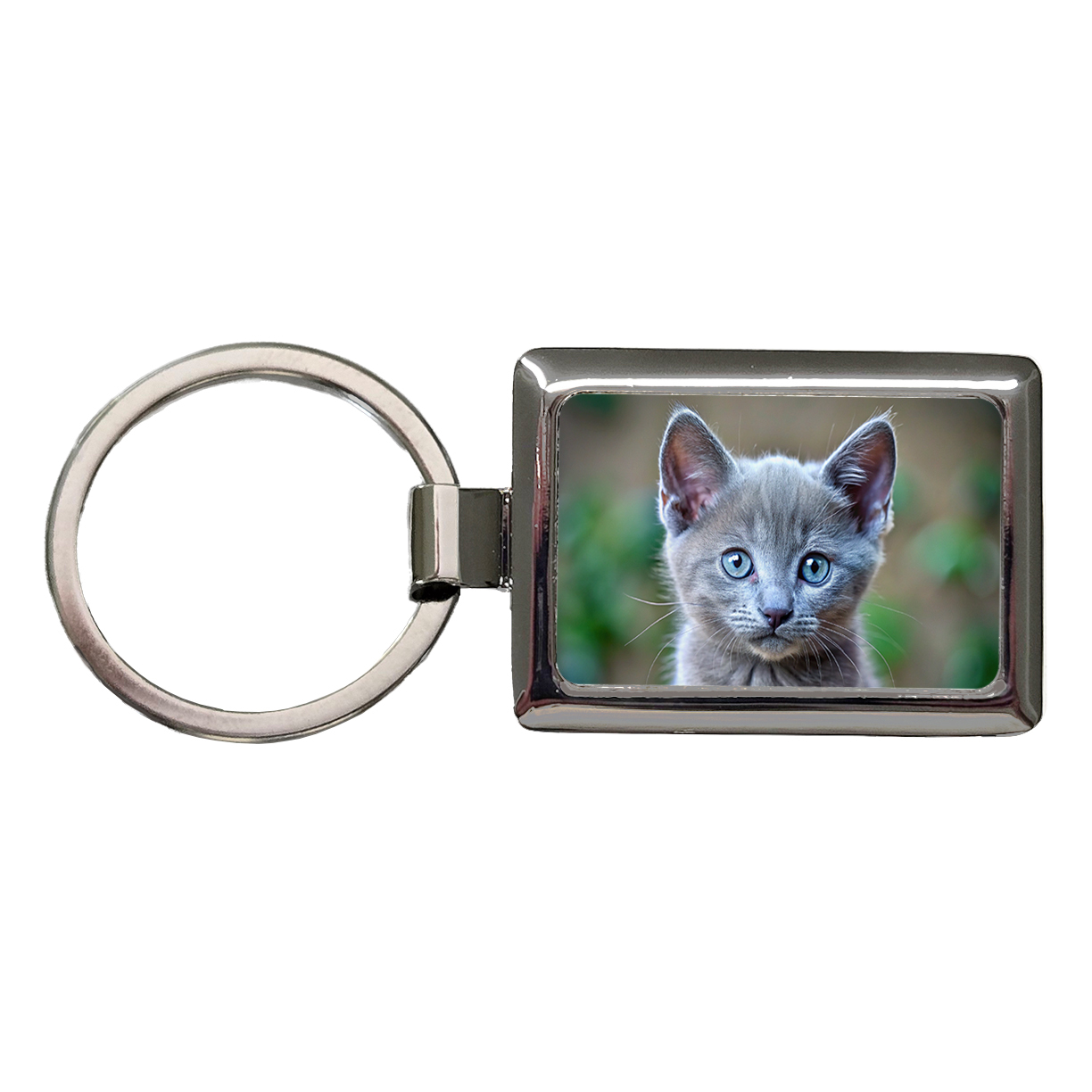 Russian Blue Cat Kitten Photo Metal Rectangle Keychain - Walmart.com
