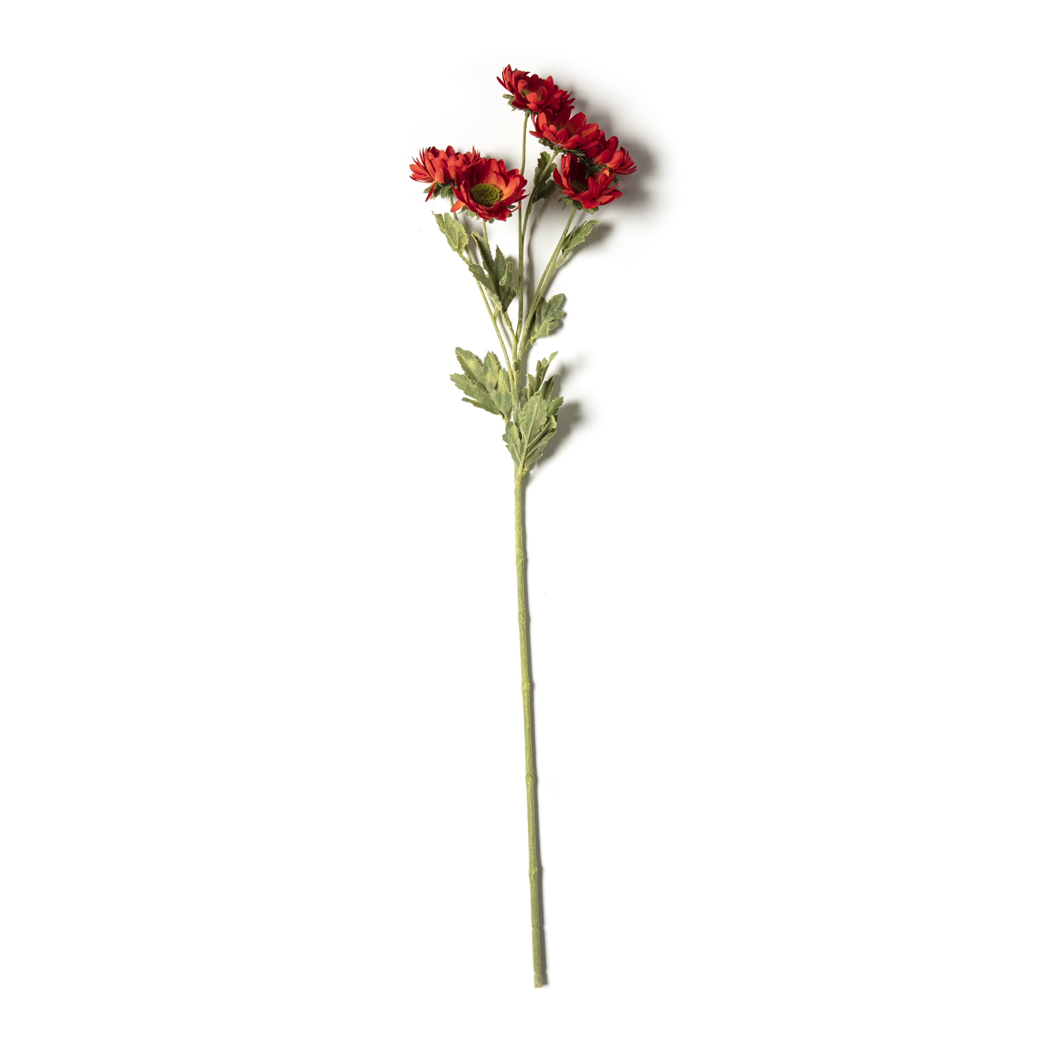 Rust Daisy Mum Stem by Ashland® - Walmart.com