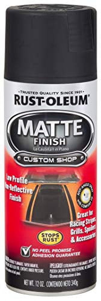 Rust-Oleum 263422 Automotive Matte Finish Spray Paint, 12 oz, Matte ...