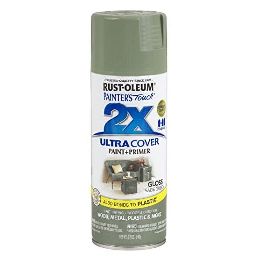 Rust-Oleum Painter's Touch 2X Ultra Cover Gloss Spray Paint, Sage Green ...
