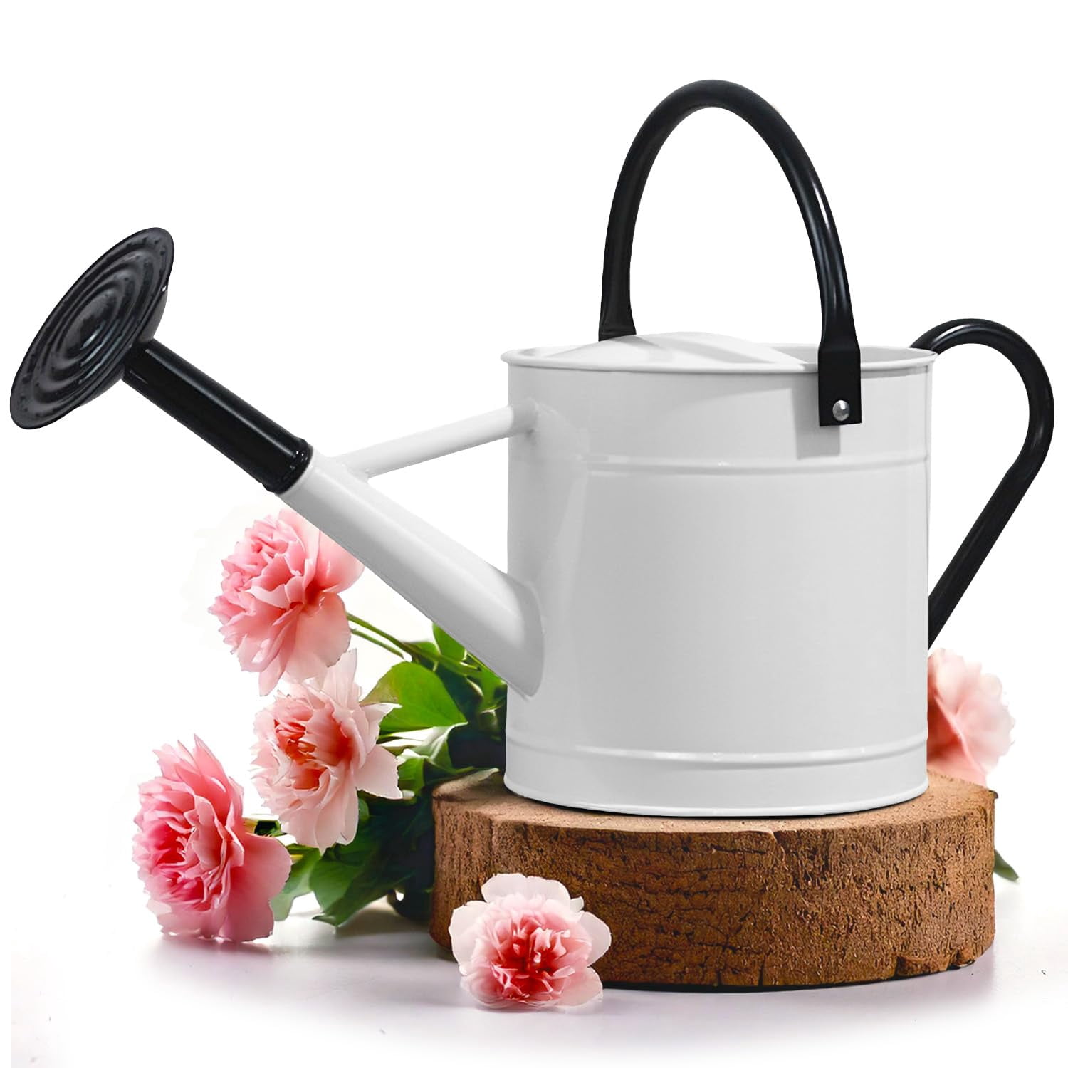 Rust-Proof Metal Watering Can 1 Gallon, Outdoor Garden Water Pot with ...