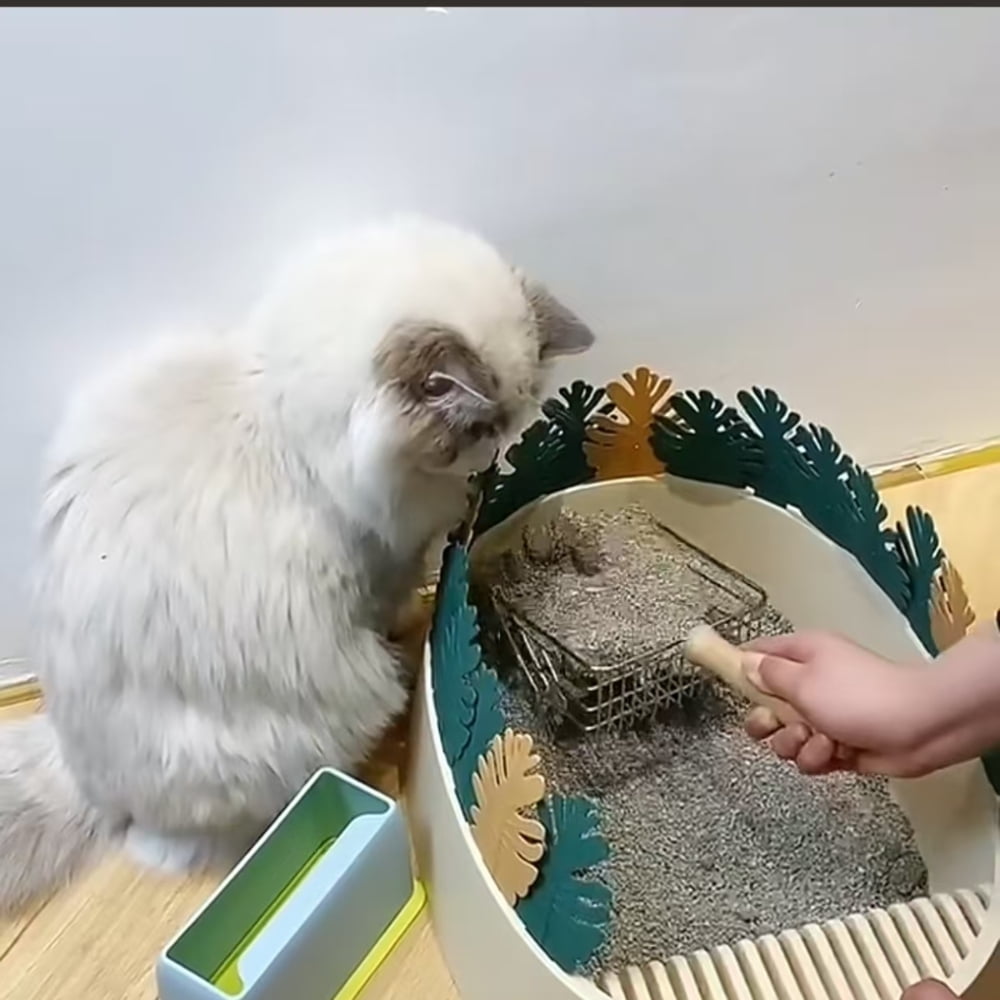 Rust-Proof Stainless Steel Cat Litter Scoop Set with Holder Durable ...