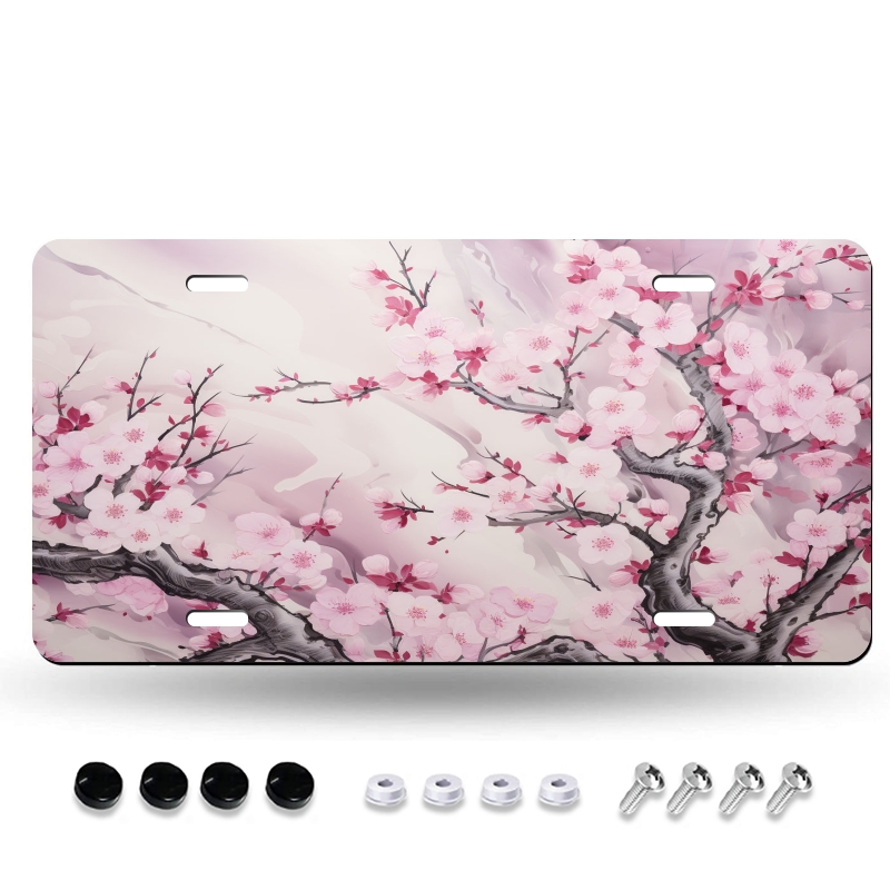 Rust-Proof Stainless Steel License Plate Frame – Stylish & Durable ...