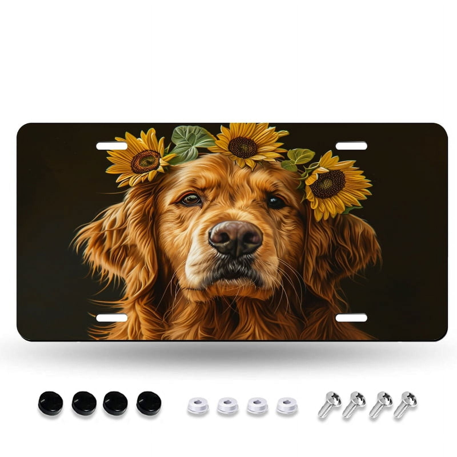 Rust-Proof Stainless Steel License Plate Frame – Stylish & Durable ...