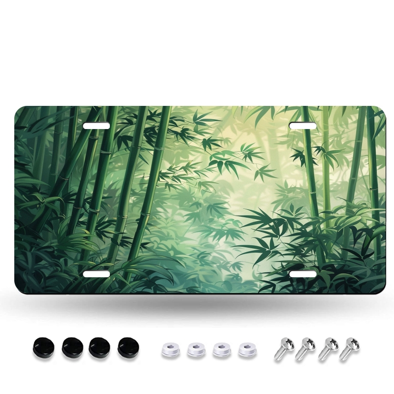 Rust-Proof Stainless Steel License Plate Frame – Stylish & Durable ...