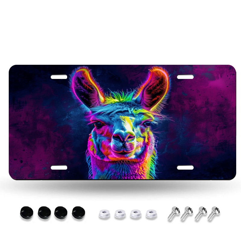 Rust-Proof Stainless Steel License Plate Frame – Stylish & Durable ...