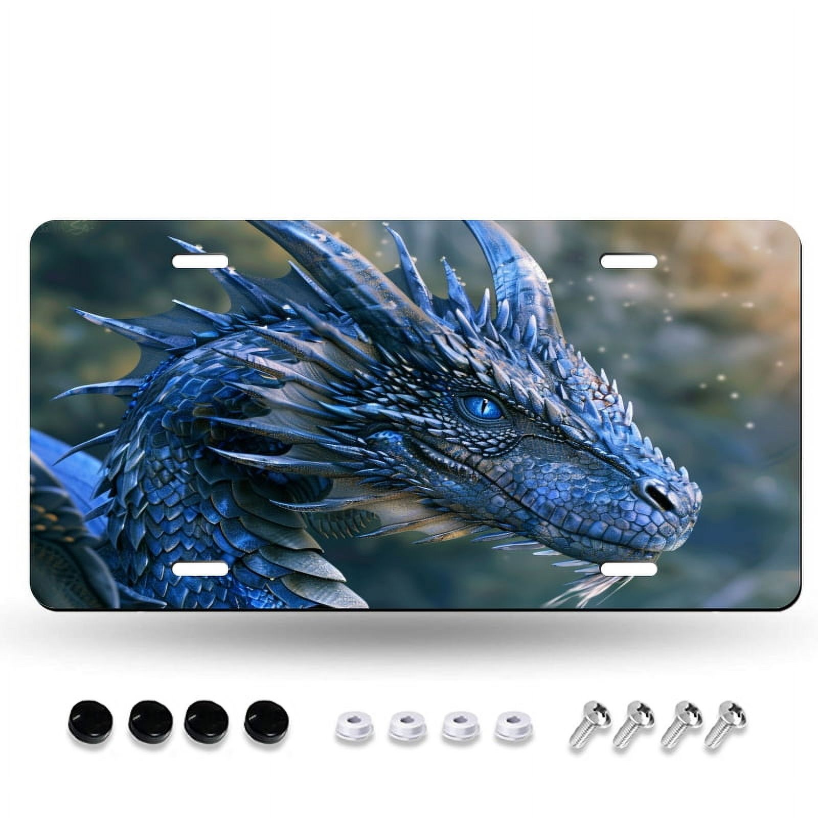 Rust-Proof Stainless Steel License Plate Frame – Stylish & Durable ...