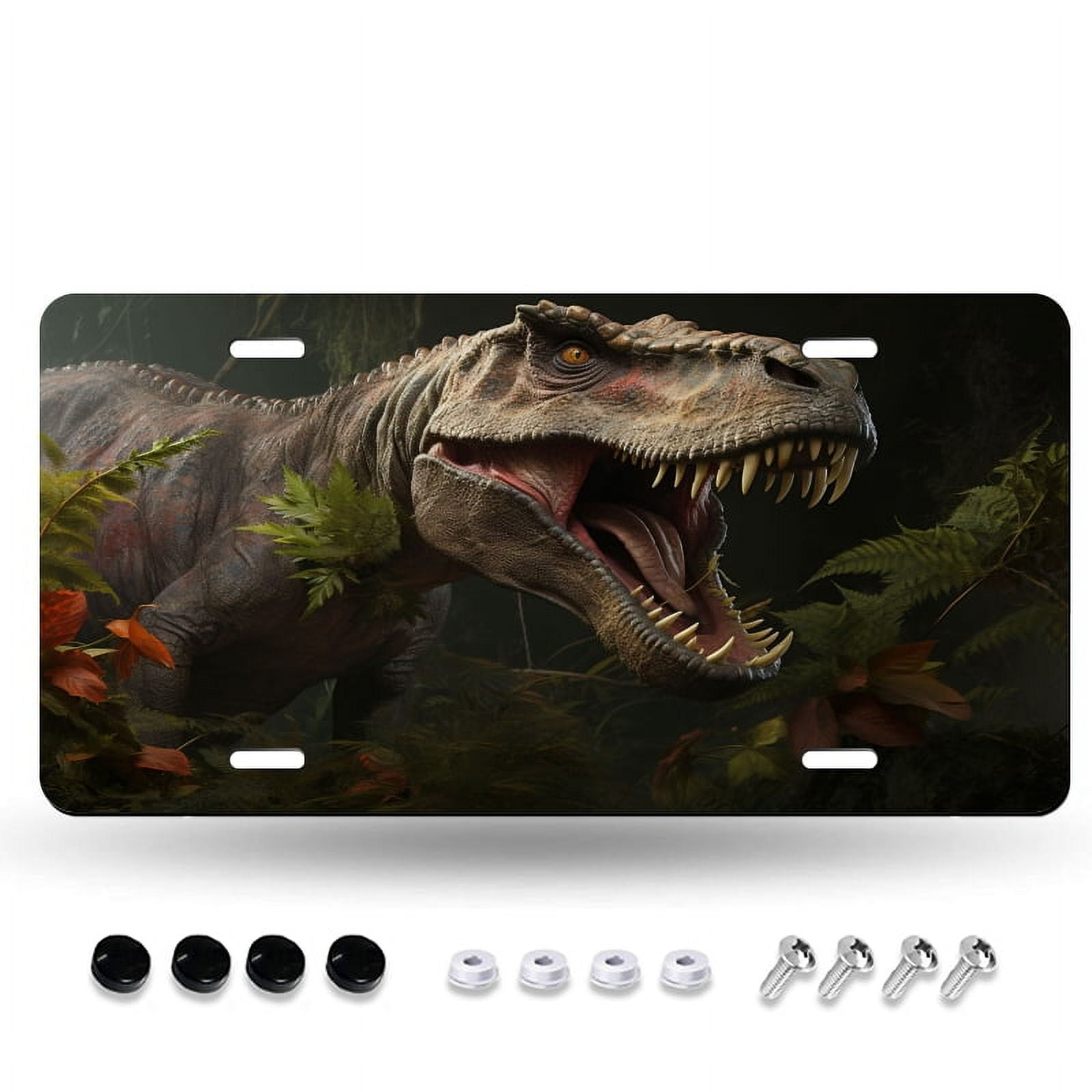 Rust-Proof Stainless Steel License Plate Frame – Stylish & Durable ...