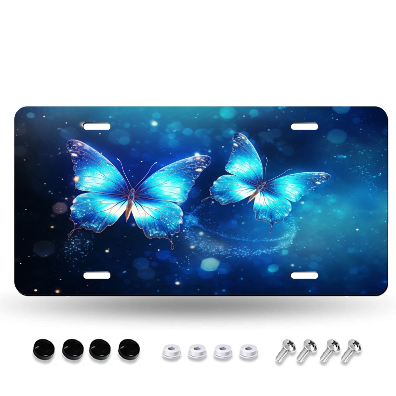 Rust-Proof Stainless Steel License Plate Frame – Stylish & Durable ...