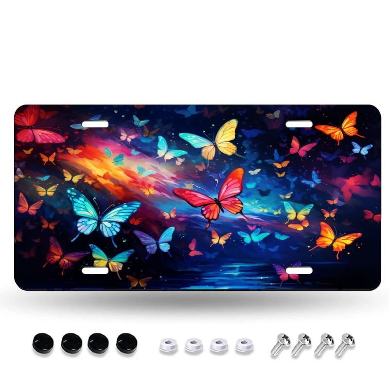 Rust-Proof Stainless Steel License Plate Frame – Stylish & Durable ...