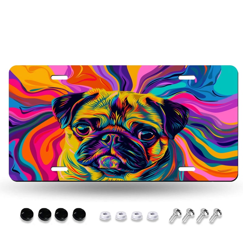 Rust-Proof Stainless Steel License Plate Frame – Stylish & Durable ...