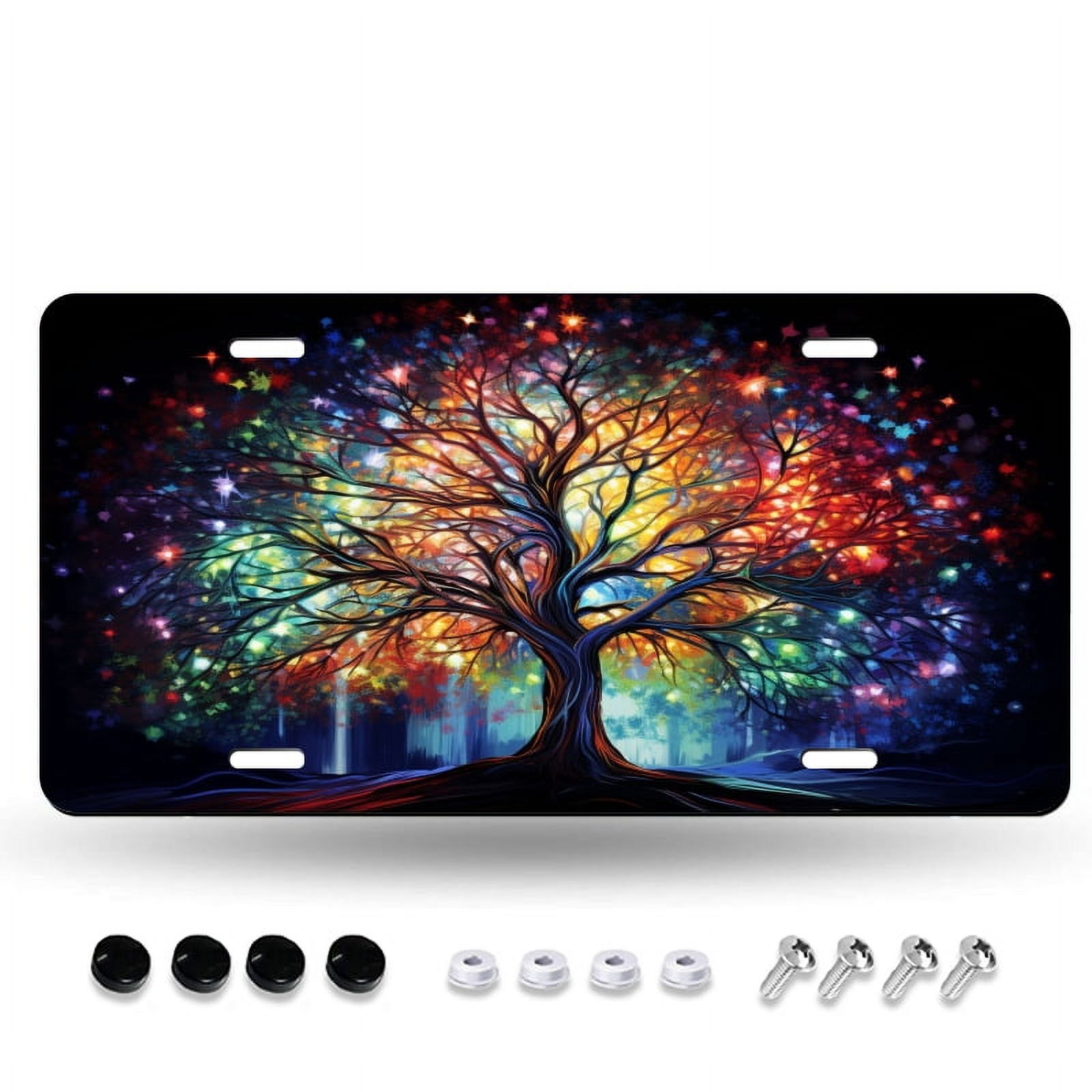 Rust-Proof Stainless Steel License Plate Frame – Stylish & Durable ...