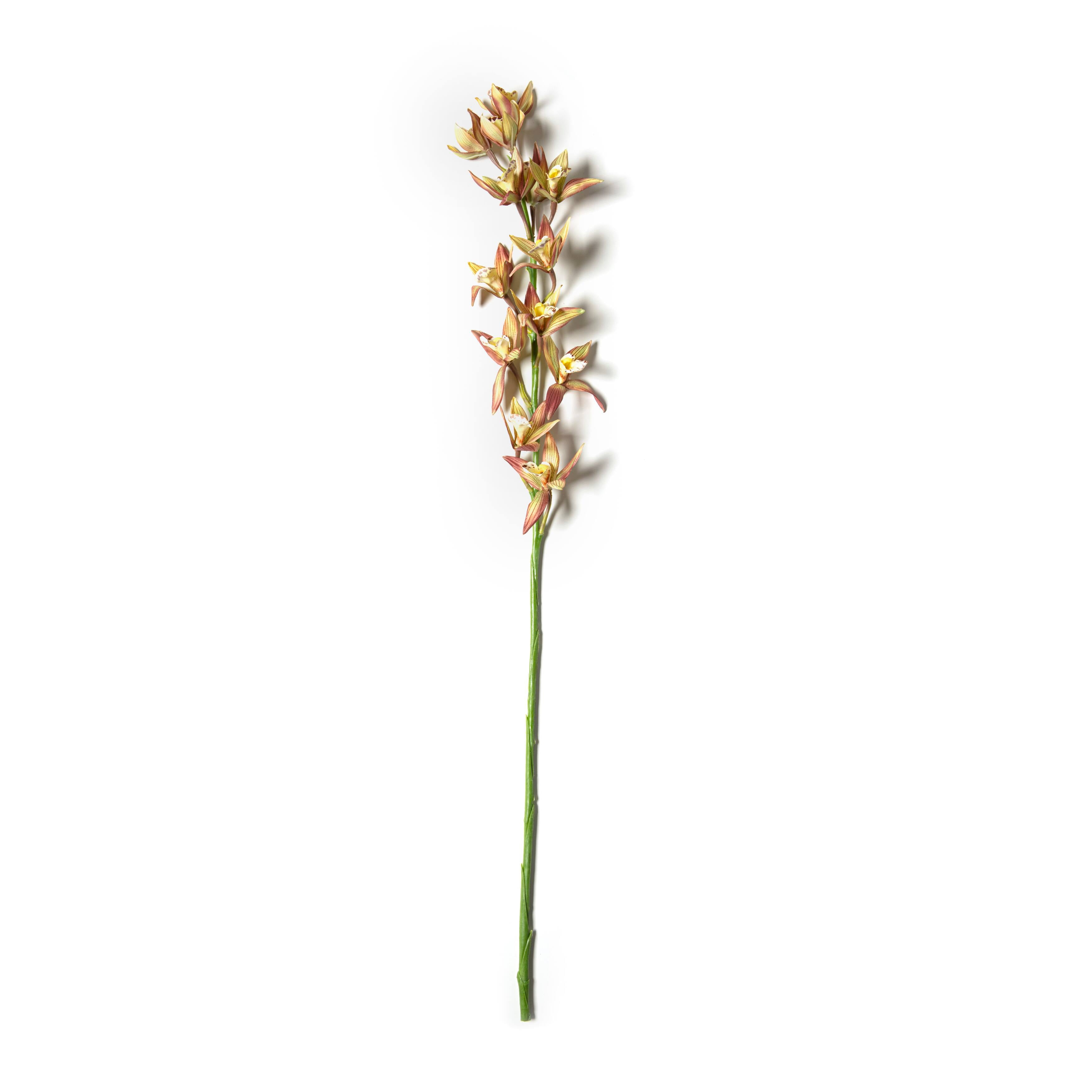 Rust Red Boat Orchid Stem by Ashland® - Walmart.com