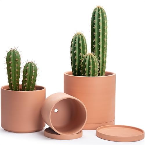 Rust Terracotta Pots for Plants, 4.2 Inch 5.3 Inch 6.5 Inch, Succulent ...