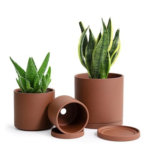 Rust Terracotta Pots for Plants, 4.2 Inch 5.3 Inch 6.5 Inch, Succulent ...