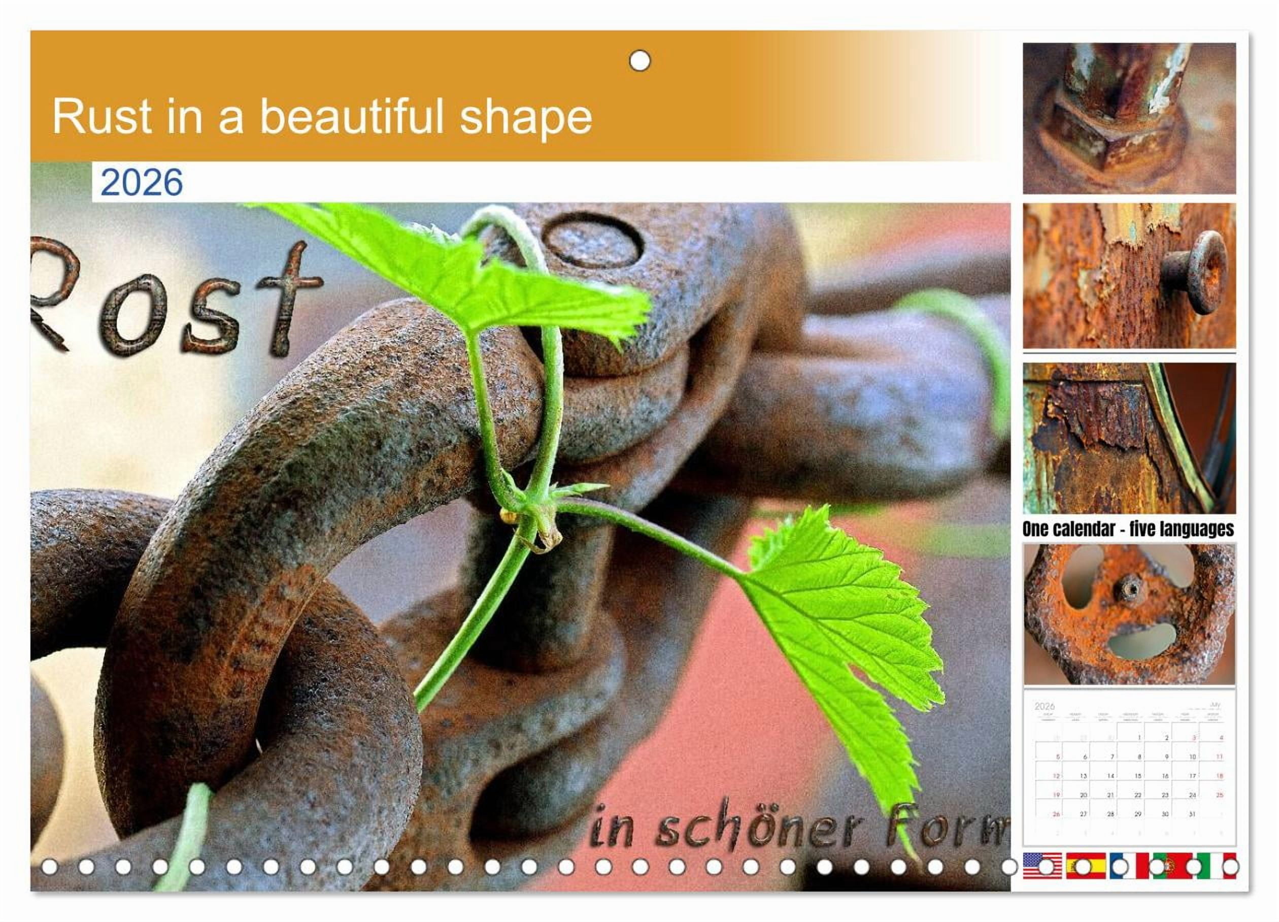 Rust in a beautiful shape (Monthly Wall Calendar 2026 11.7 x 16.5 (open ...