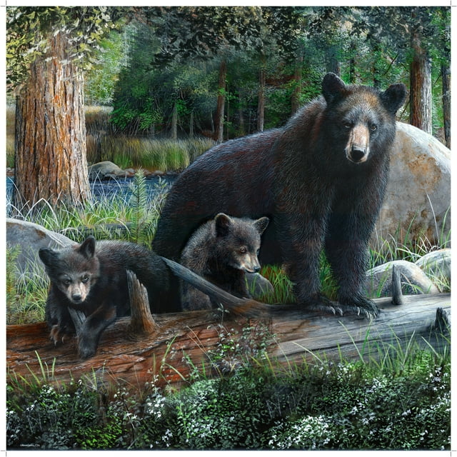 Rustic Black Bear Shower Curtain Cabin Log Lodge Bathroom Bath ...