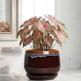 Rustic Blue Ceramic Plant Pot with Drainage Hole and Saucer for Indoor ...