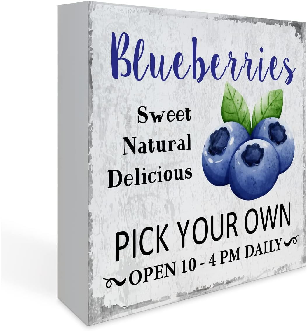 Rustic Blueberries Wood Box Sign, Farmhouse Blueberry Artwork Decor ...