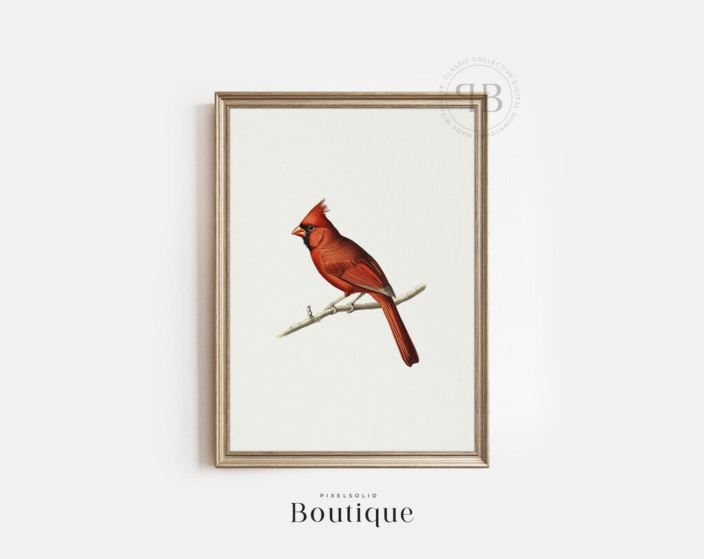 Rustic Cardinal Bird Illustration Print Rustic Wildlife Wall Art For ...