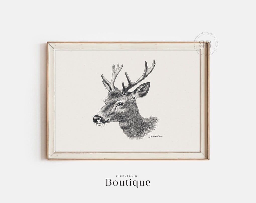 Rustic Deer Illustration Wall Art – Wildlife Animal Decor Print In ...