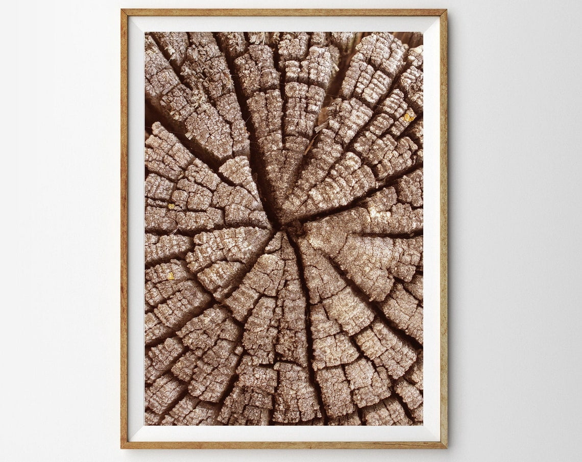 Rustic Farmhouse Print, Tree Ring Wall Art Print, Log Slice, Wood Log ...