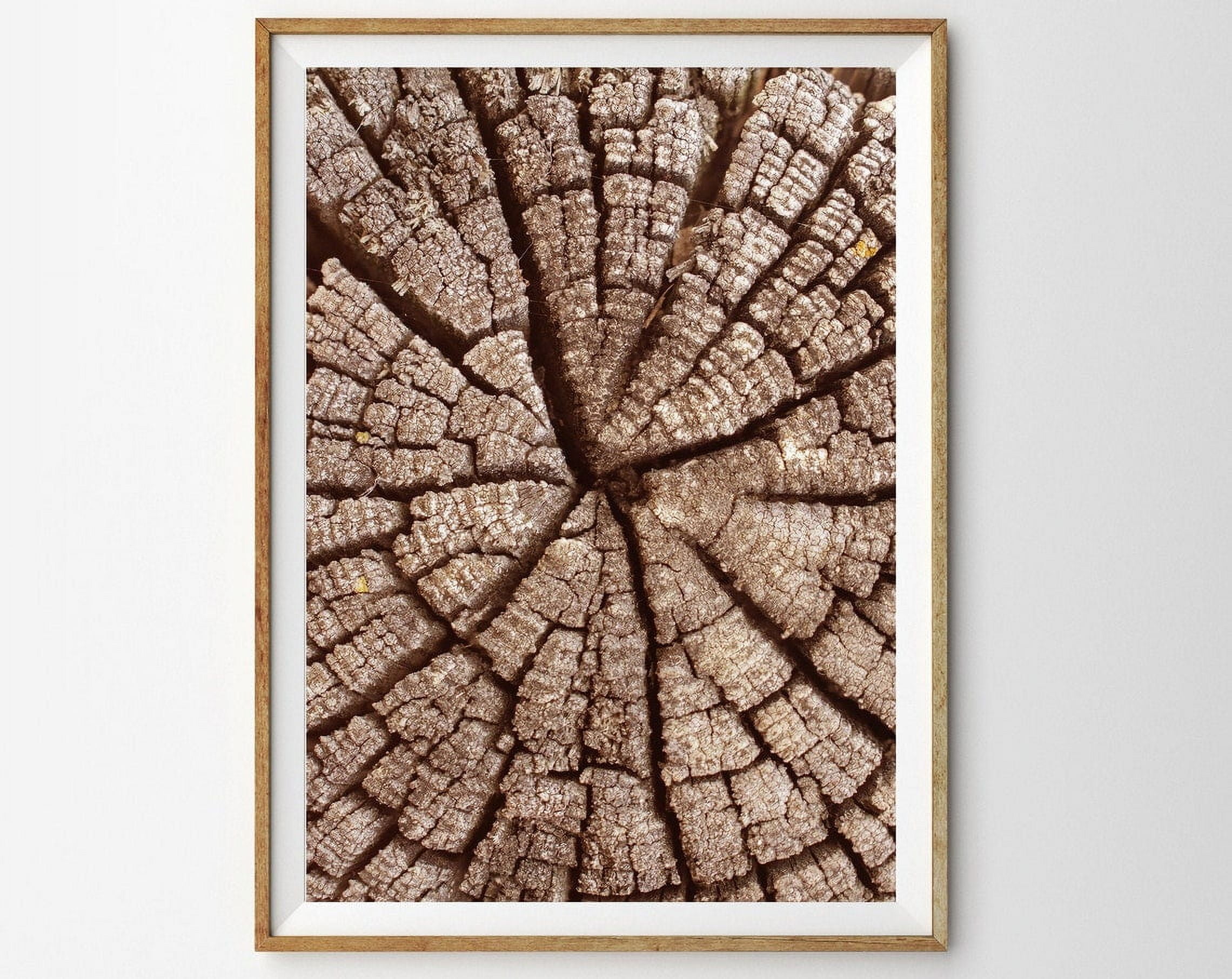 Rustic Farmhouse Print, Tree Ring Wall Art Print, Log Slice, Wood Log ...
