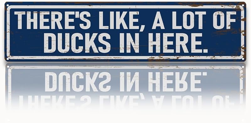 Rustic Farmhouse Style Duck Coop Sign, Metal Outdoor Ducks House Signs ...