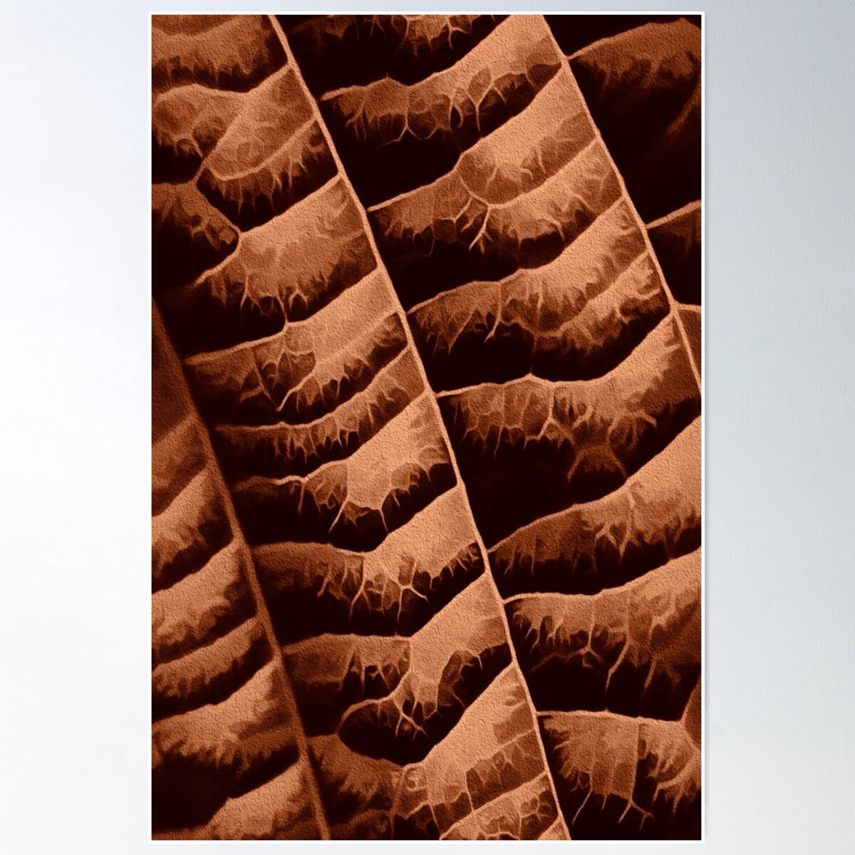 Rustic Graphic Veins - Warm Brown Poster Wall Art, Modern Wall Decor ...
