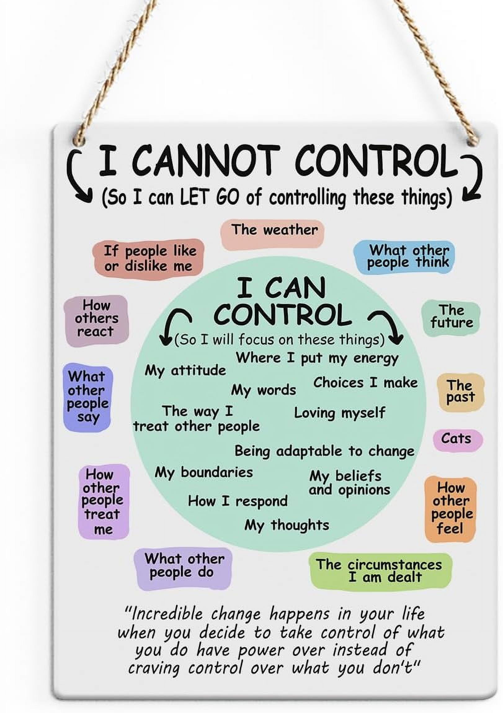Rustic Mental Health Quote Wood Decor Sign, Colorful I Cannot Control ...