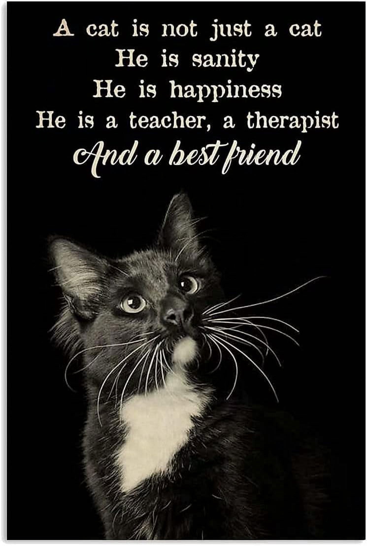 Rustic Metal Signs Tuxedo Cat Vintage Retro Metal Sign A Cat not Just A ...