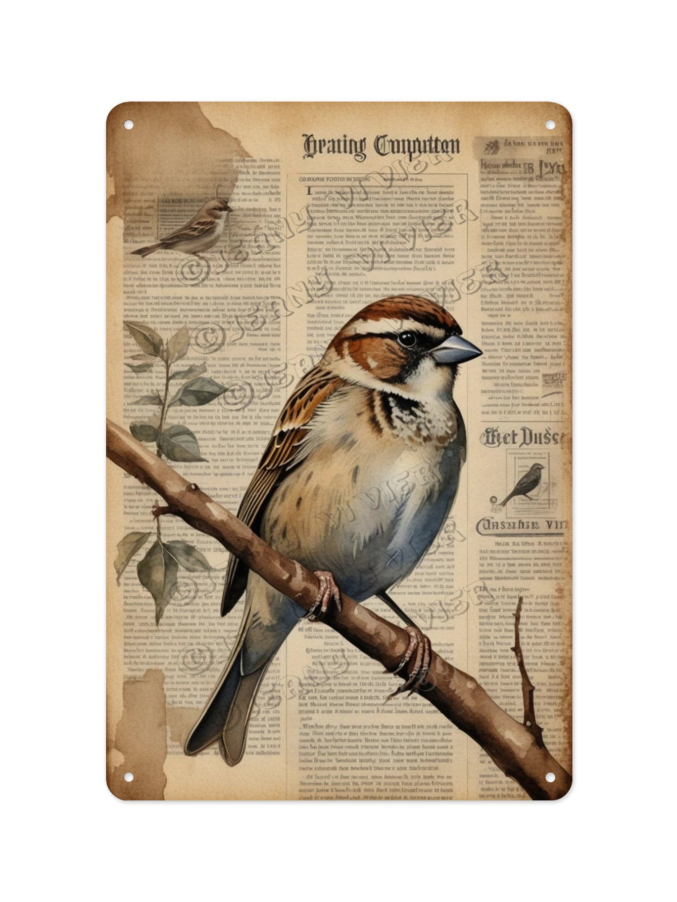 Rustic Sparrow Bird Vintage Aluminum Sign 5.5x8 Inches - Country ...