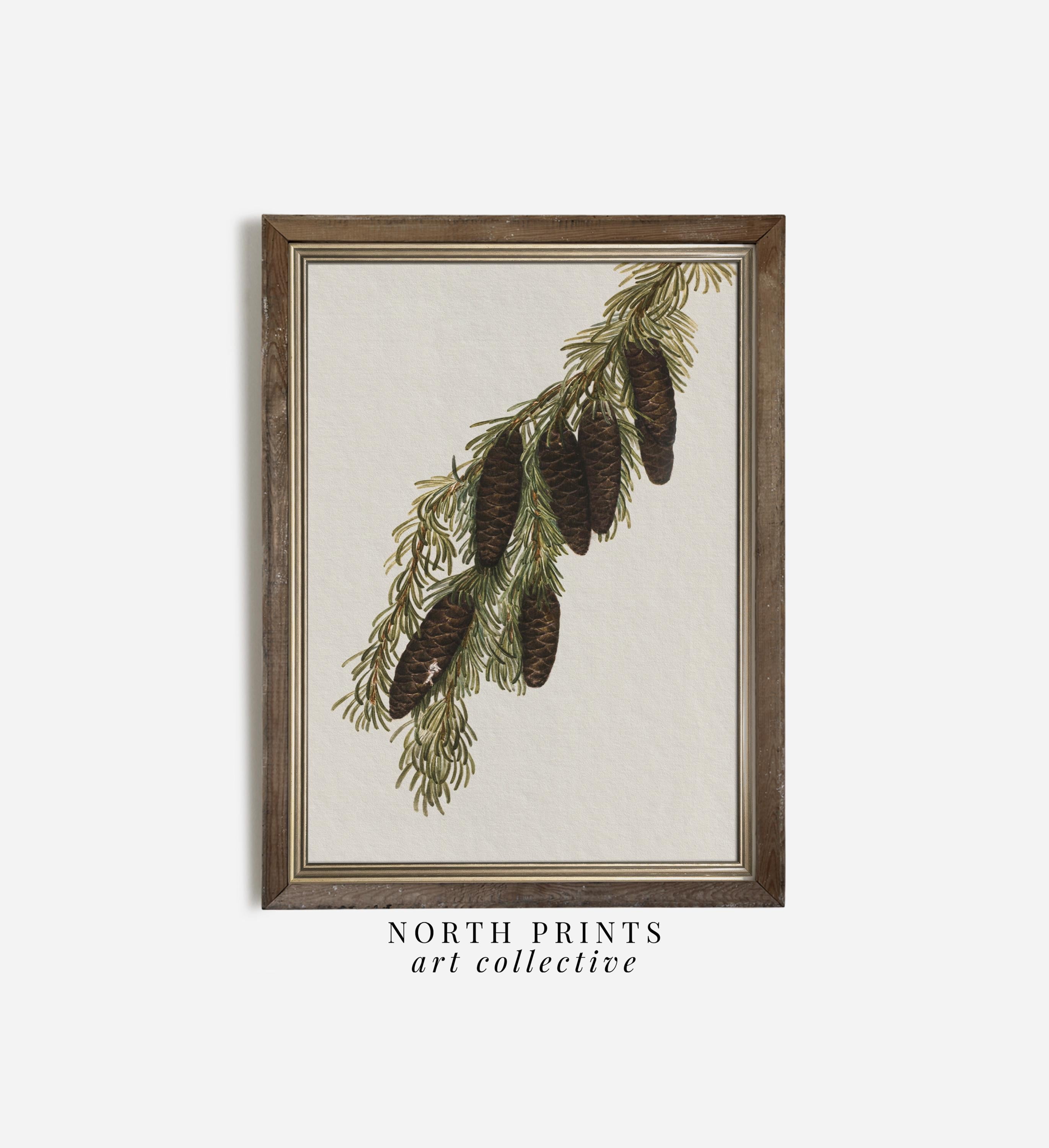 Rustic Spruce Pine Branch Print: Winter Botanical Wall Decor (Printable ...