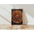 Rustic Tree Ring Wood Art Burned Texture Wall Decor Burnt Orange Nature ...