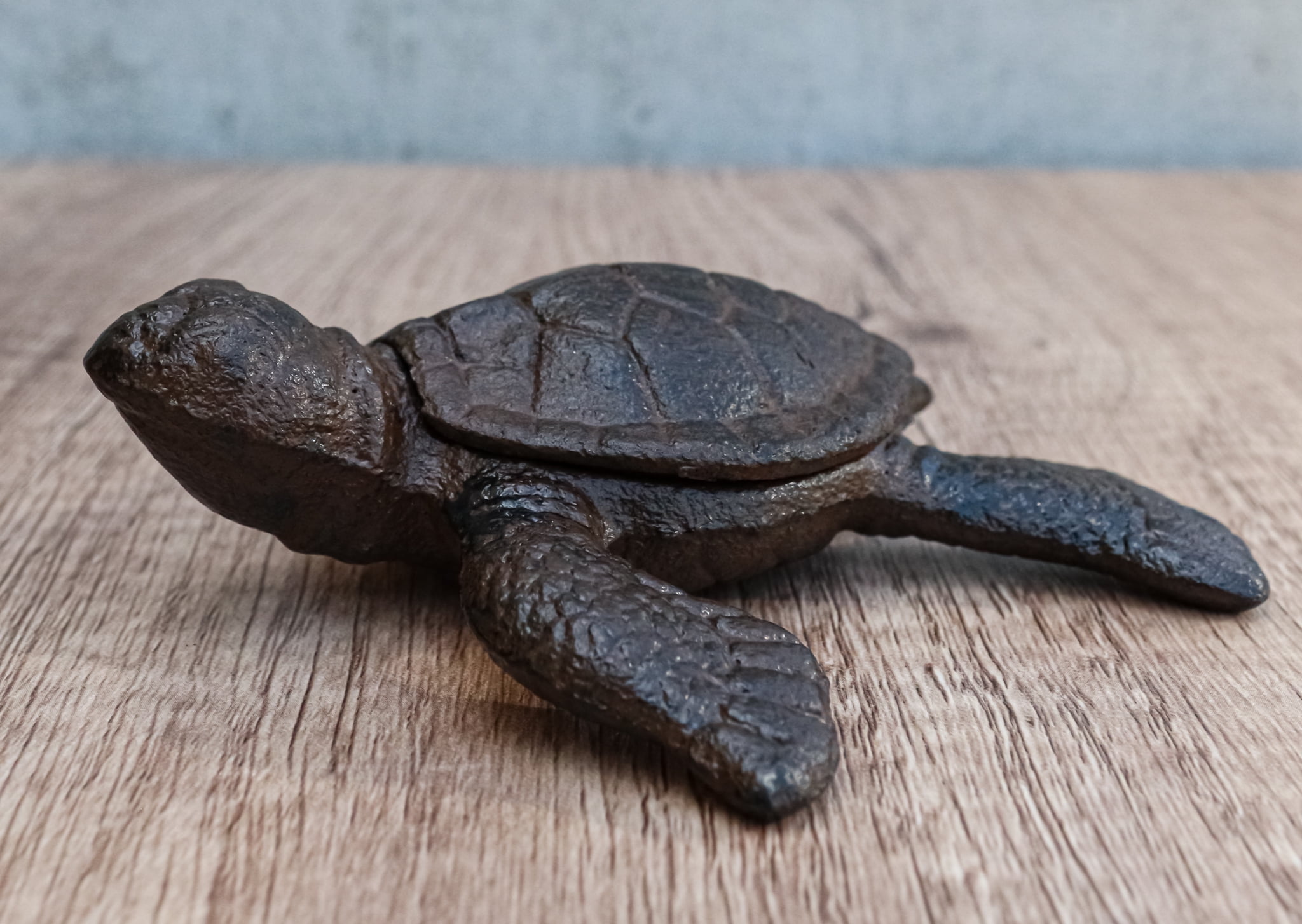 Rustic Vintage Cast Iron Giant Sea Turtle Decorative Key Box Small ...